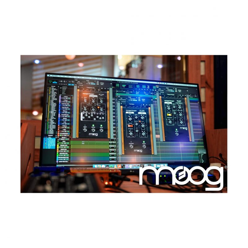 Moog MoogerFooger MF-101S Low Pass Filter – Plugin Discounts